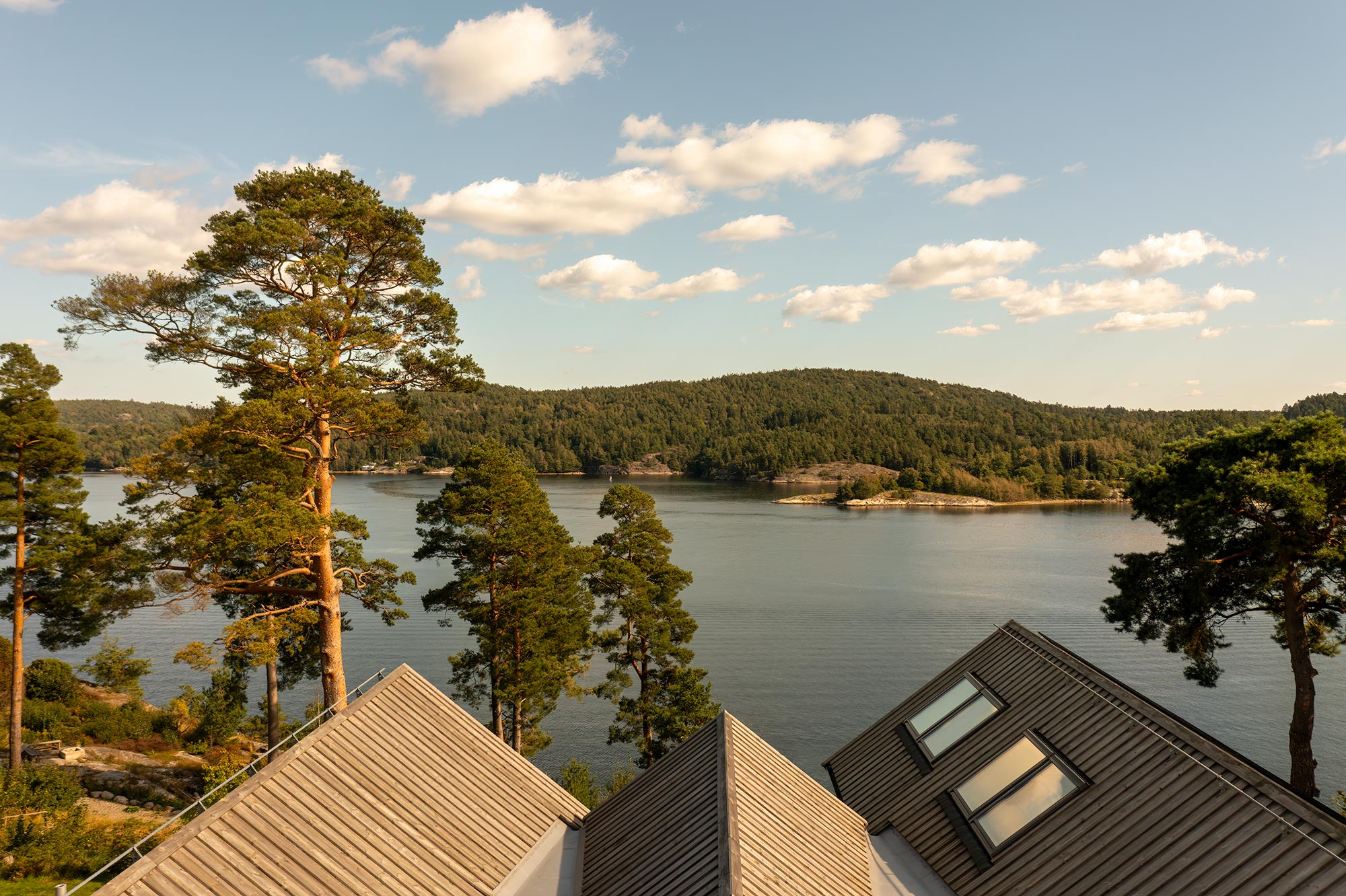 Bitus Latvia | High-Quality Wood Solutions for a Sustainable Future