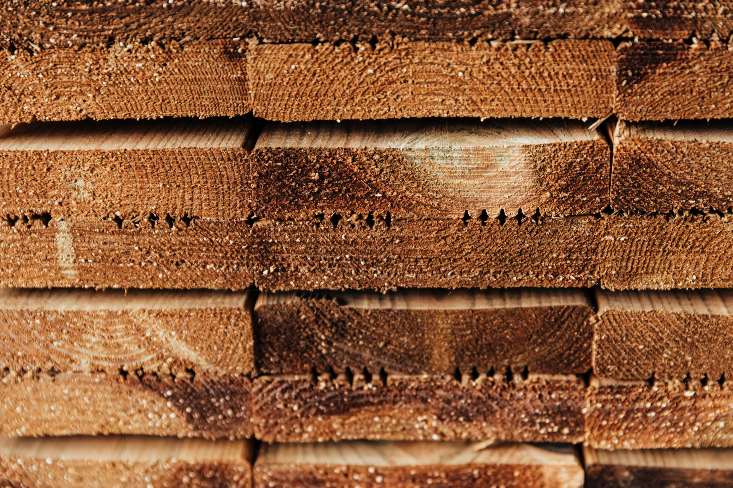 Bitus Latvia | Koksnes apstrāde ar aizsarglīdzekļiem