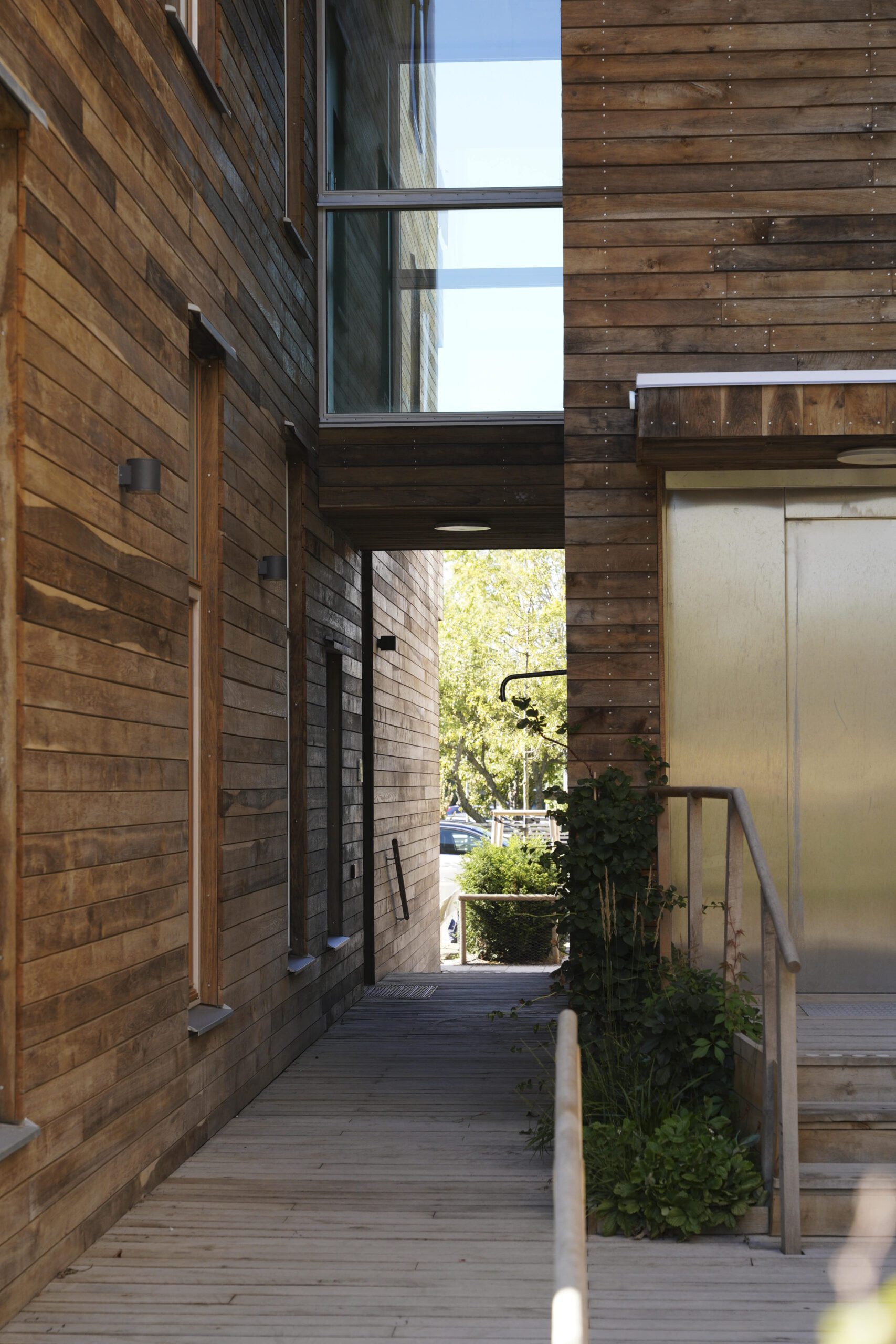 Bitus Latvia | Ugunsdroša koksne – drošība un ilgtspēja